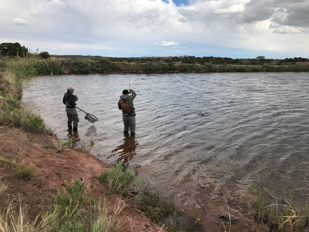 GUIDED INSTRUCTION – Tempo Fly Fishing